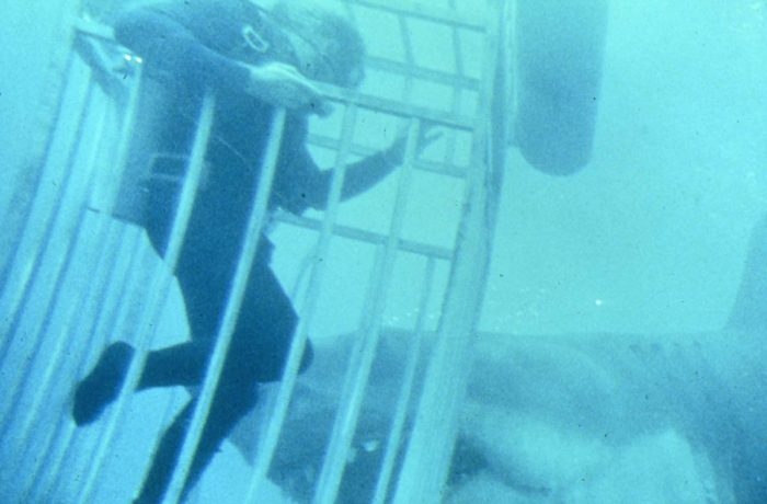 Jaws_sub1 | メディア | BANGER!!!（バンガー） 映画愛、爆発!!!