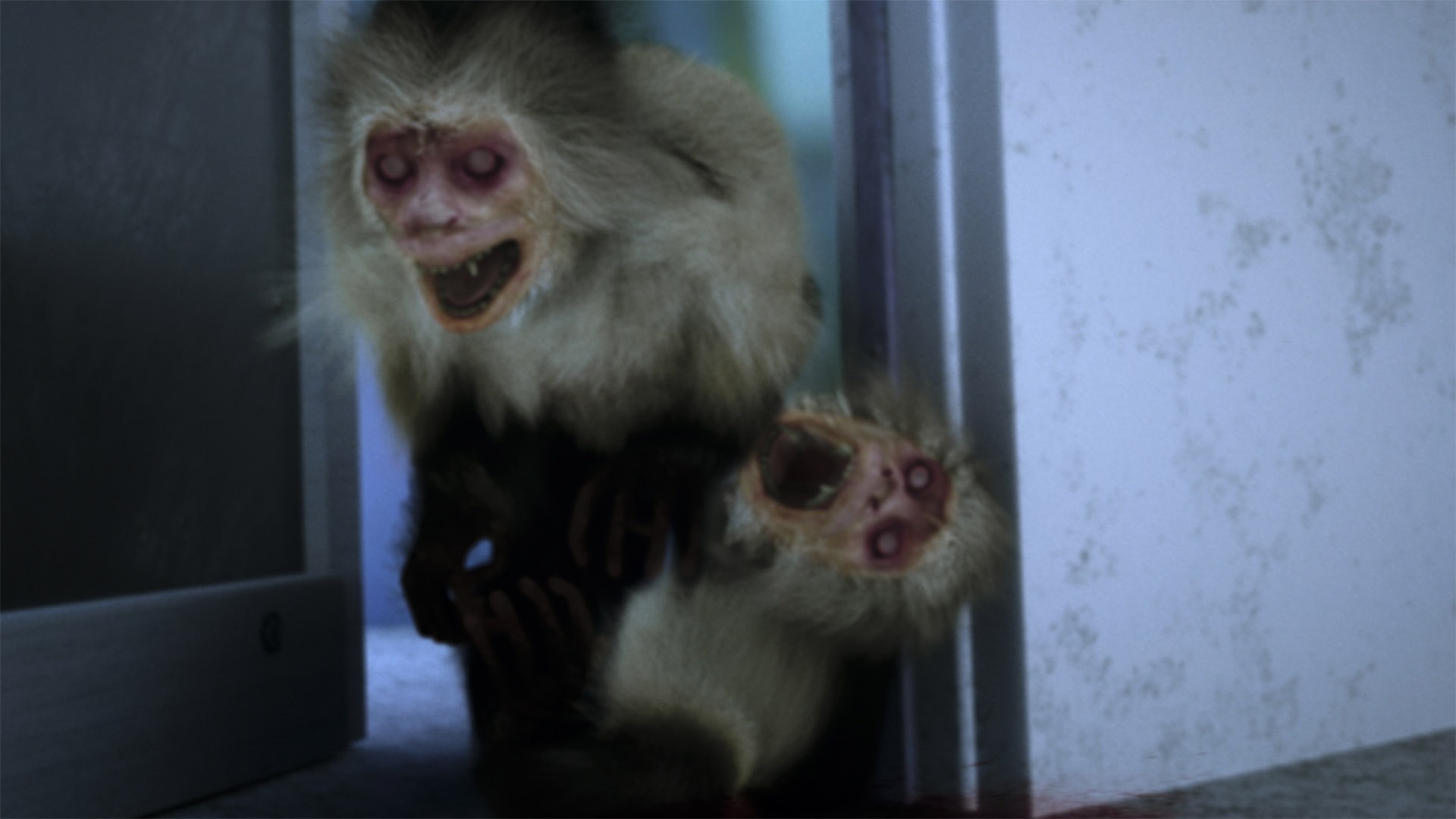 ZOOMBIE_04 | メディア | BANGER!!!（バンガー） 映画愛、爆発!!!