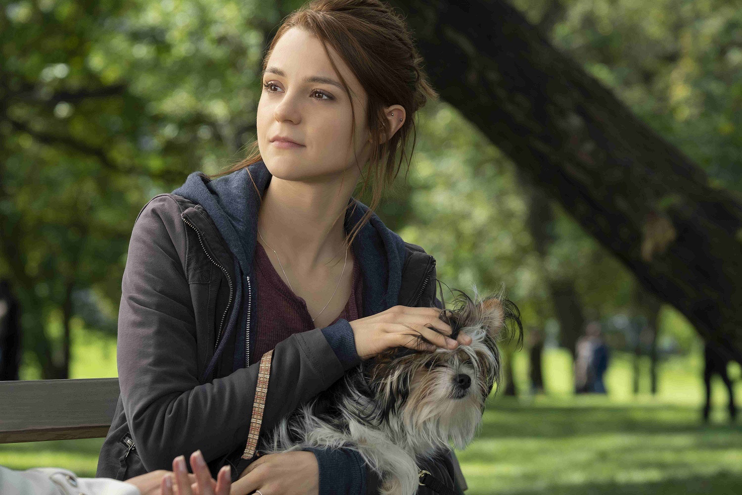 僕のワンダフル・ジャーニー_sub03 | メディア | BANGER!!!（バンガー） 映画愛、爆発!!!